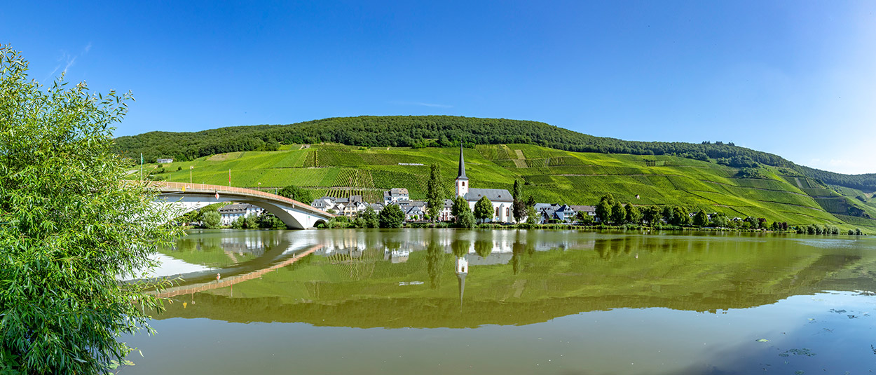 Luxury River Cruise on the Rhine | Riverside Luxury Cruises